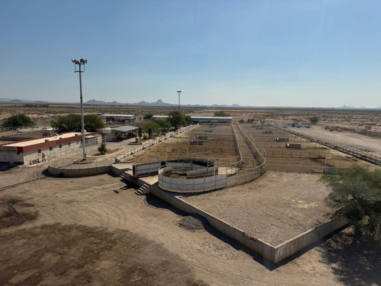 Se coordinan Estado y Senasica para garantizar movilidad y exportación ...