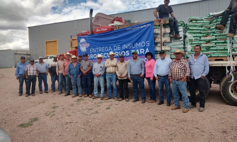 Refuerza Gobierno del Estado estrategias y apoyos para fortalecer al ...