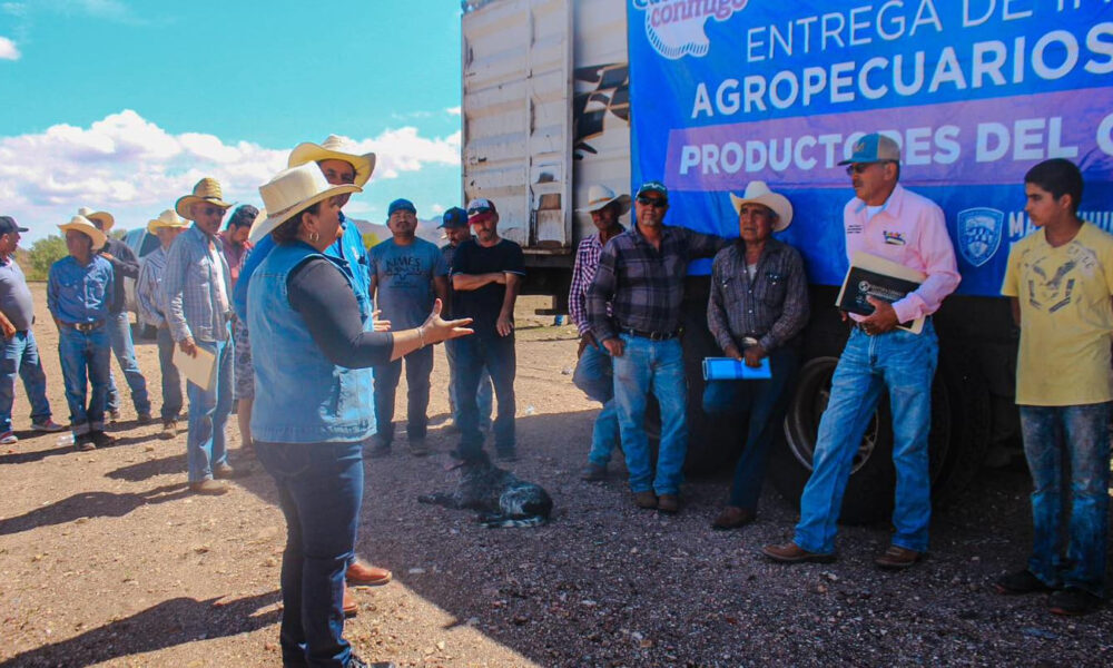 Capacita Estado a productores para la detección del Gusano Barrenador ...